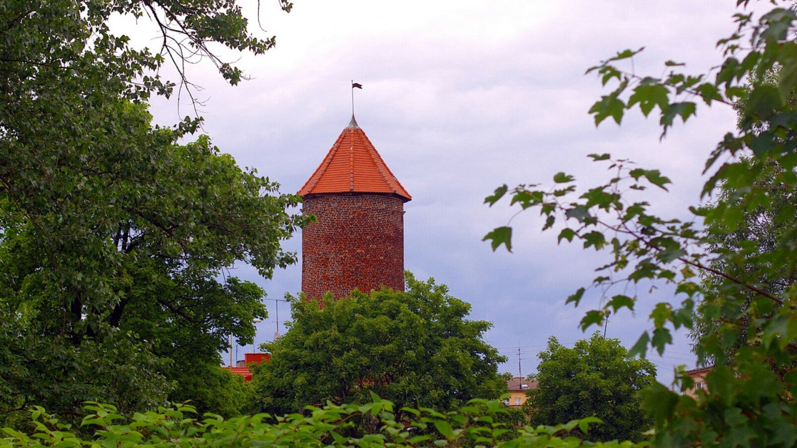 Oficjalne otwarcie Baszty Kaszanej